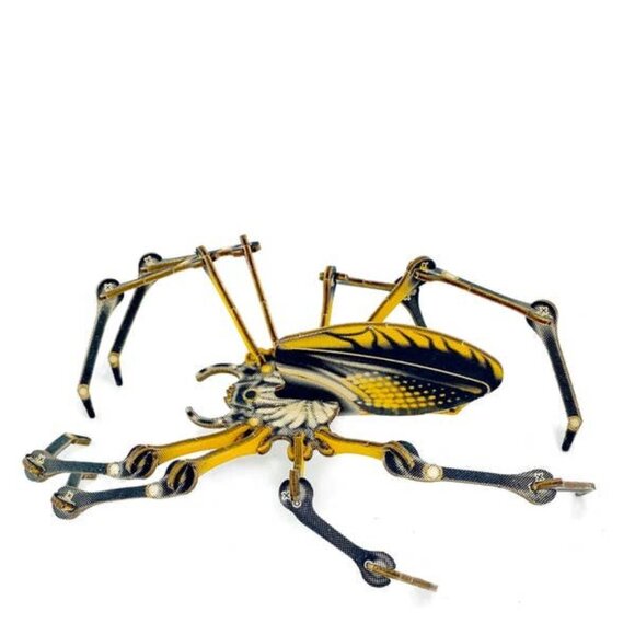 Toys | Diy Animal Model Kit Arthropoda Spider | Poshmark